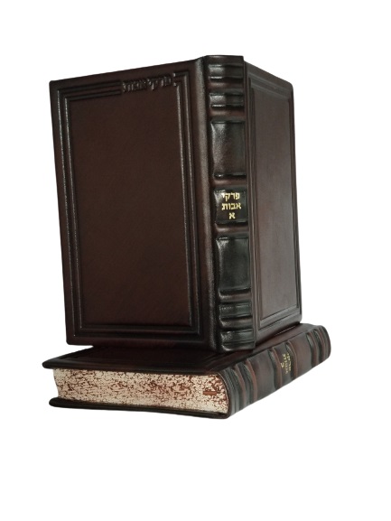 Design FB1 – Color BBS Brush Brown – Kaftor Custom Book